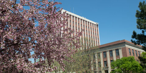 Alumni Enews, Spring 2024 | College of Arts and Sciences | Nebraska